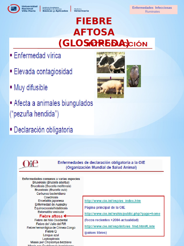 Control y Prevención de Fiebre Aftosa | PDF