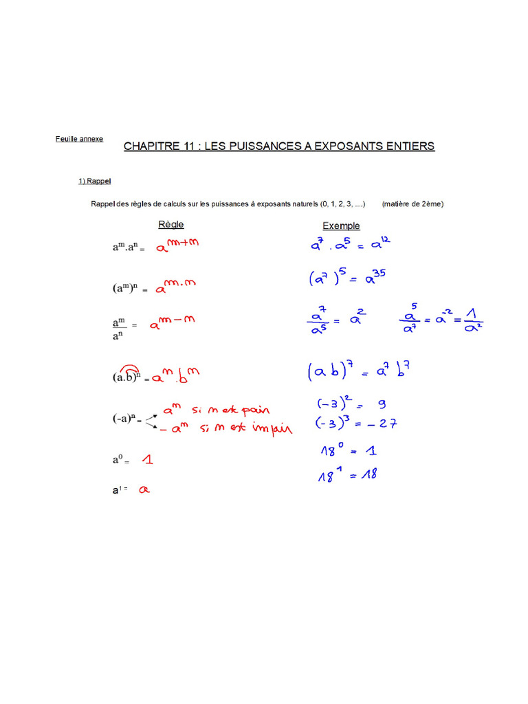 Chapitre 11 - Les Puissances À Exposants Entiers 3D | PDF