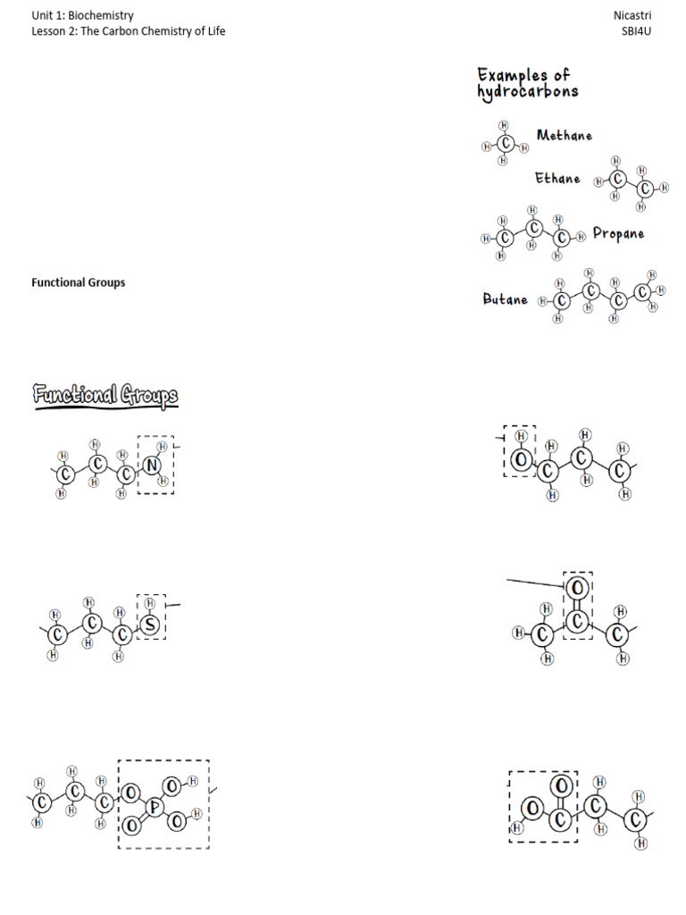 Carbon Chemistry & Functional Groups | PDF