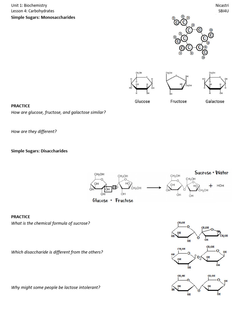 U1L4 Carbohydrates Student | PDF
