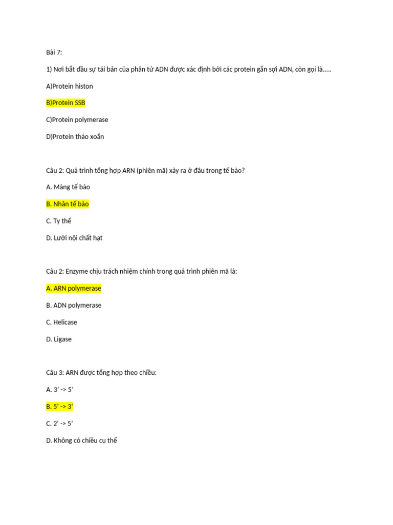 Bài 7-WPS Office | PDF