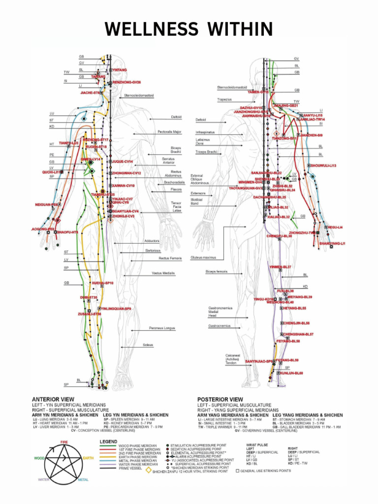 Meridian Map of the Body | PDF