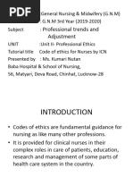 The ICN Code of Ethics For Nurses | PDF | Self-Improvement