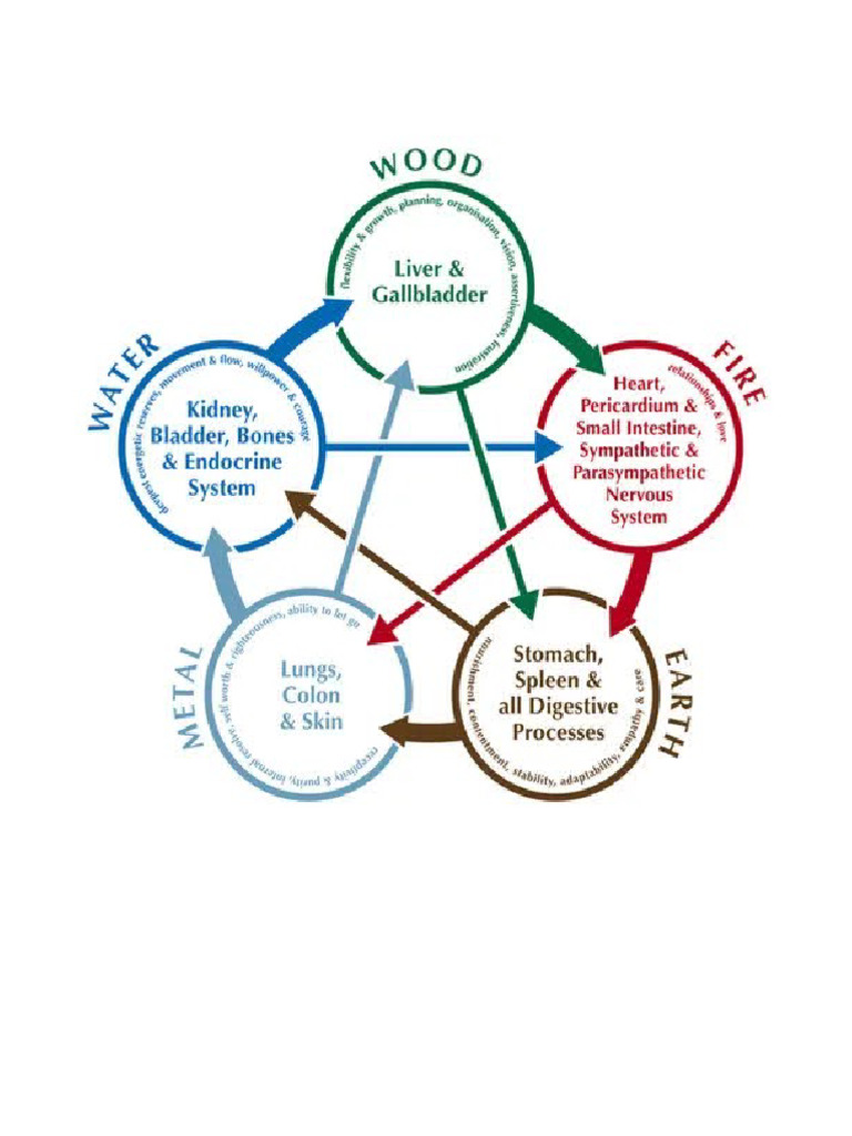 5 Element Chart | PDF