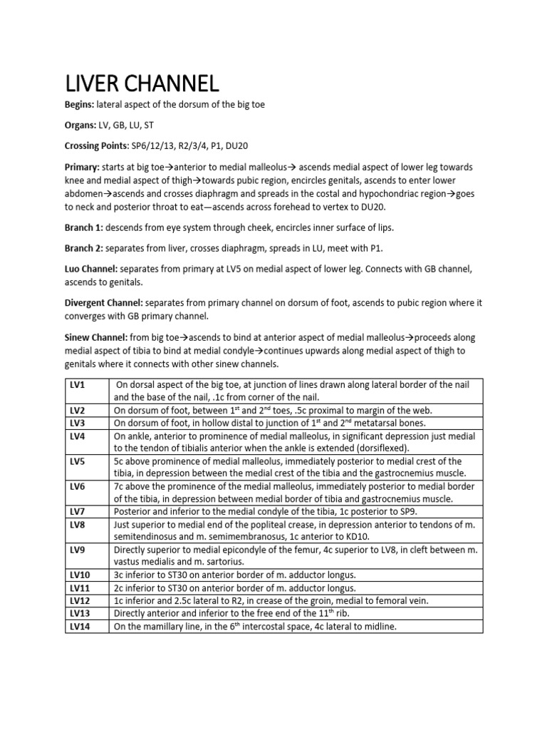 LIVER CHANNEL | PDF | Anatomical Terms Of Location | Foot