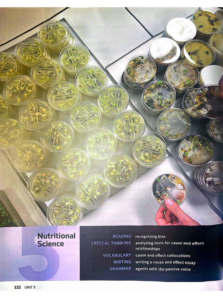 RW4 - UNIT 5 - Reading | PDF