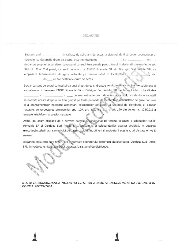 Model Declaratie | PDF