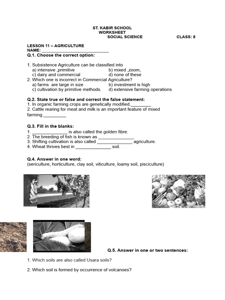 SST 8 Prctice Sheet CH 11 | PDF
