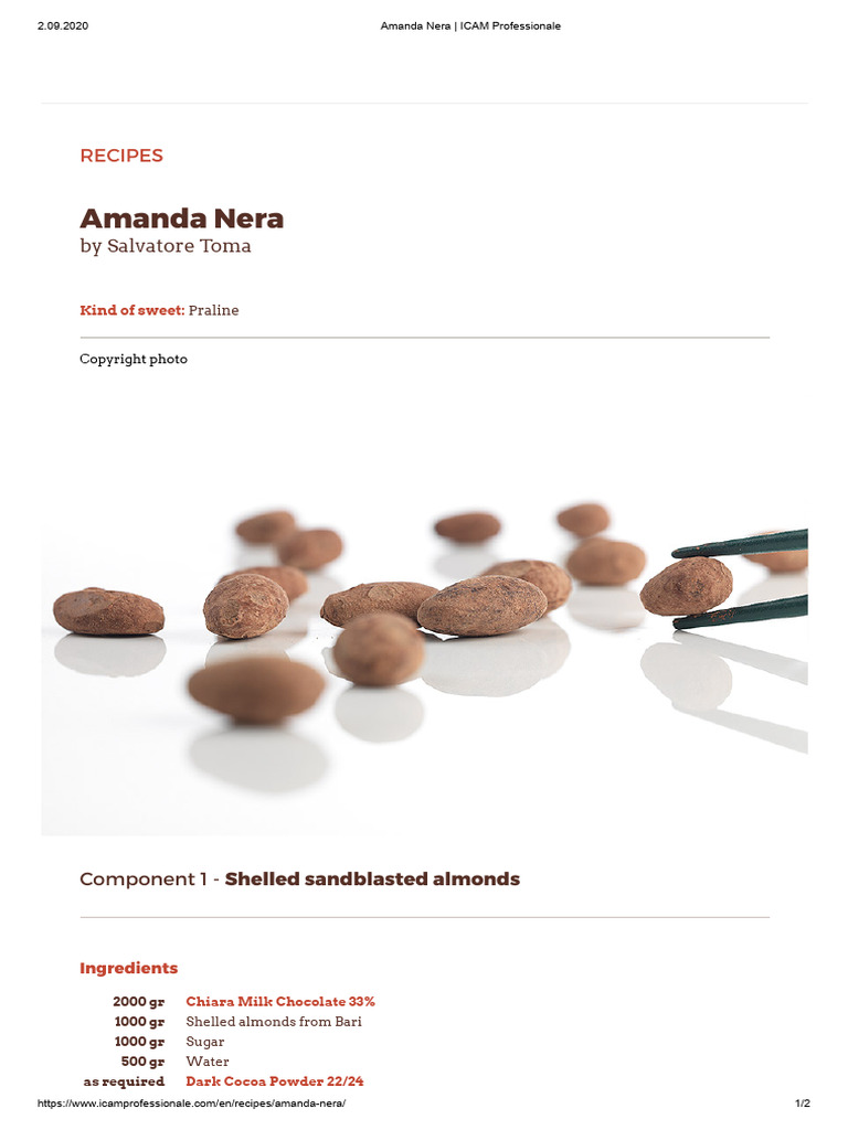 Amanda Nera - ICAM Professionale | PDF