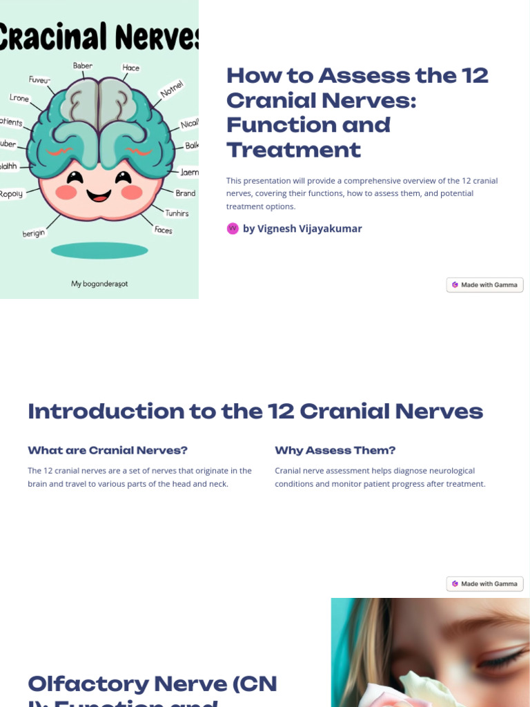 Assessing the 12 Cranial Nerves | PDF | Human Head And Neck | Neuroscience