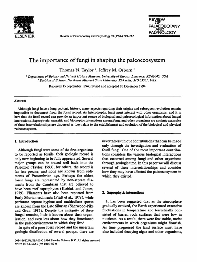 The Importance of Fungi in Shaping The Paleoecosystem | PDF | Fungus ...