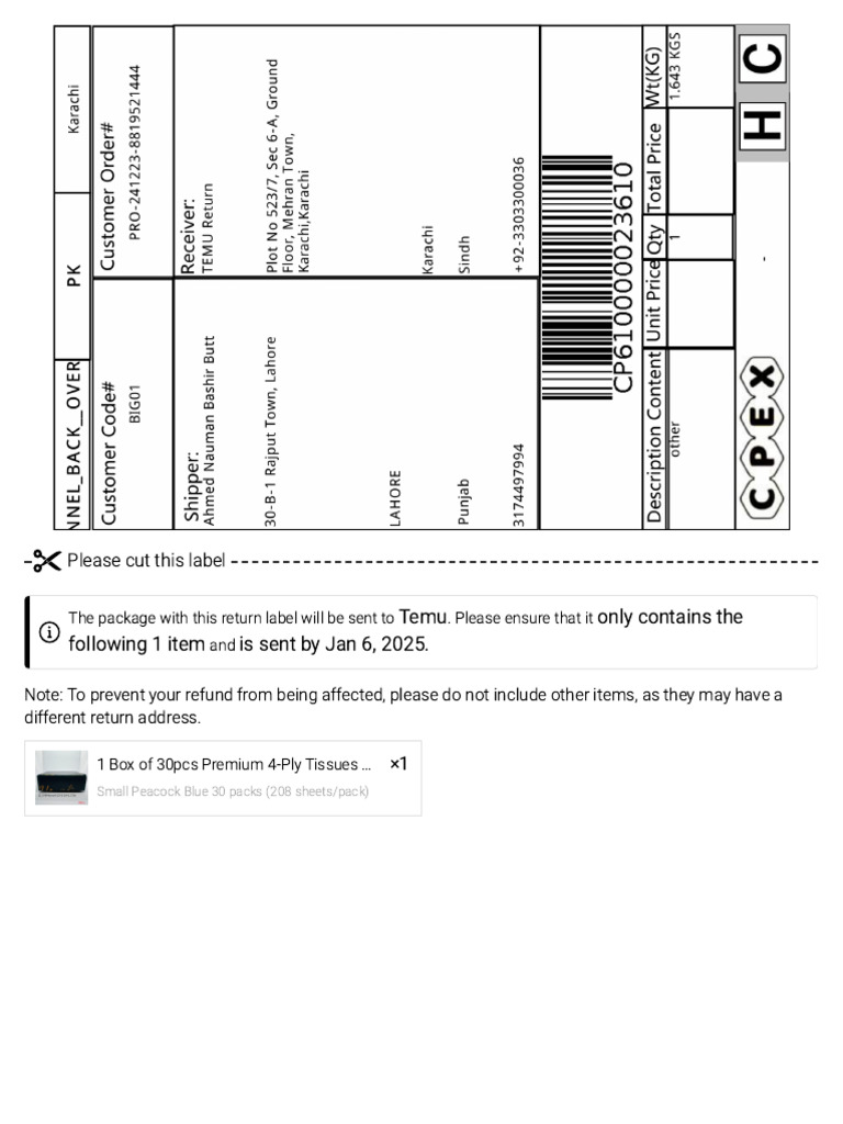 Temu Web Document | PDF
