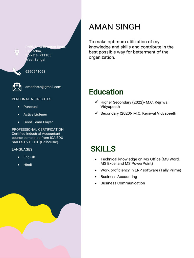 Aman Singh's Resume: Skills & Education | PDF