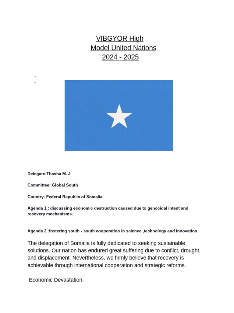 position_paper_somalia | PDF | Sustainability | Somalia