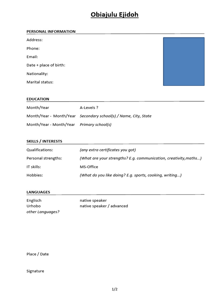 Obiajulu Ejidoh's CV and Skills Profile | PDF