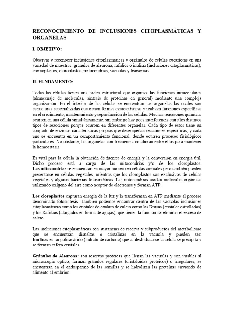 Inclusiones Citoplasmáticas y Organelas | PDF | Biología Celular ...