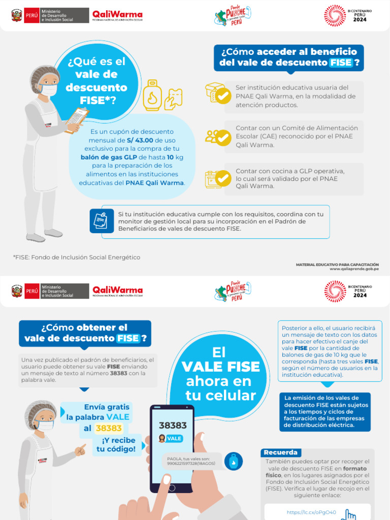 Infografías Vale de Descuento FISE | PDF