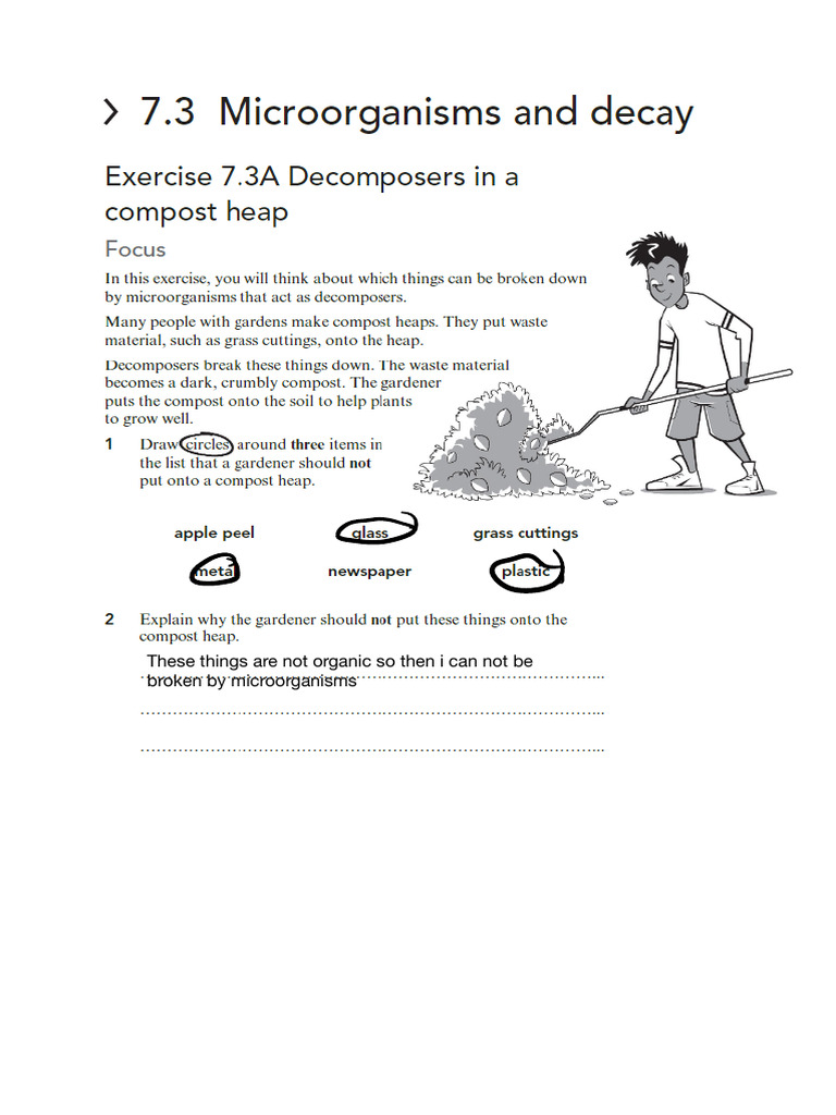 Worksheet - Microorganisms - Part2 2 | PDF