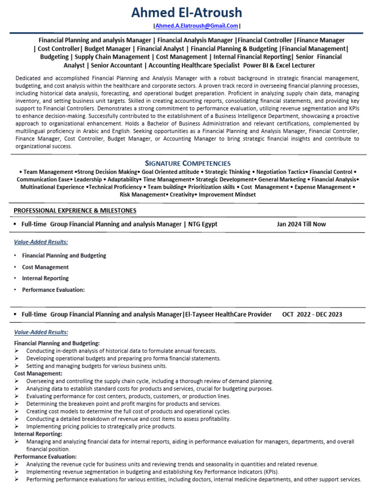 CV | PDF | Financial Analyst | Performance Indicator