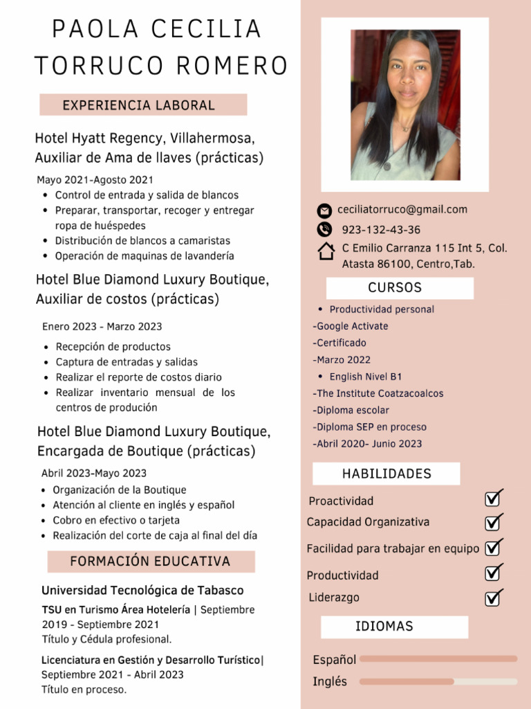 CV Paola Torruco | PDF