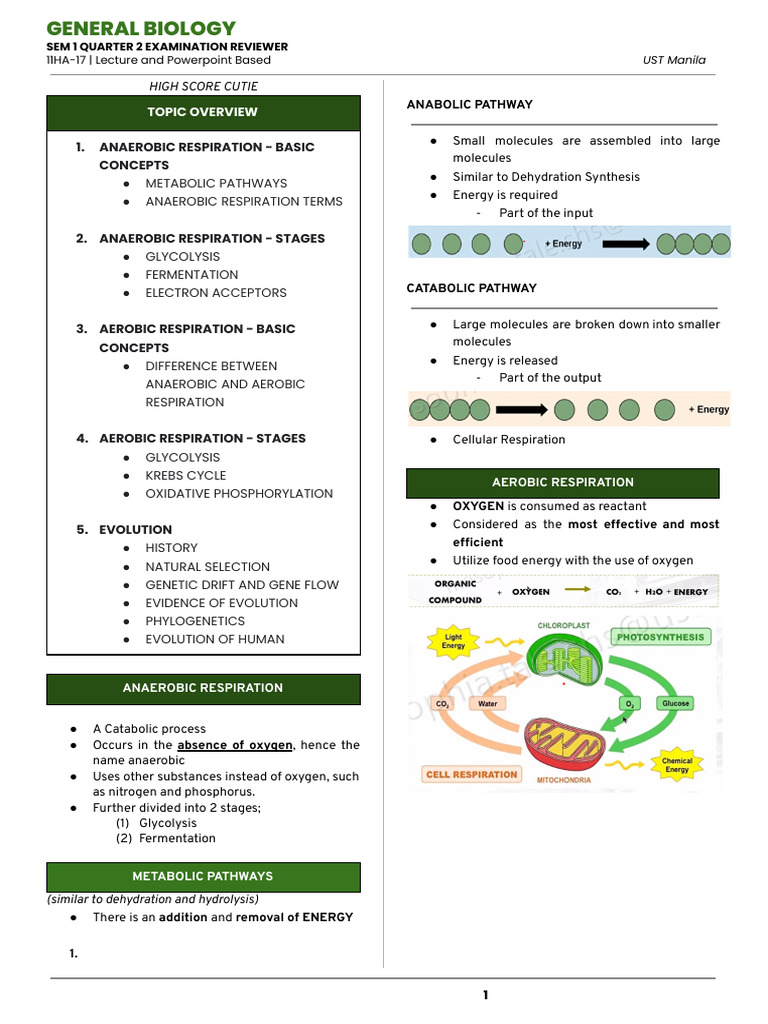 Genbio q2 Reviewer-Merged | PDF | Cellular Respiration | Adenosine Triphosphate