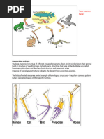 Comparative Vertebrate Anatomy Lecture Notes PDF | PDF | Anatomy ...
