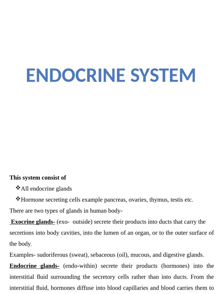 Endocrine System | PDF | Thyroid | Endocrine System