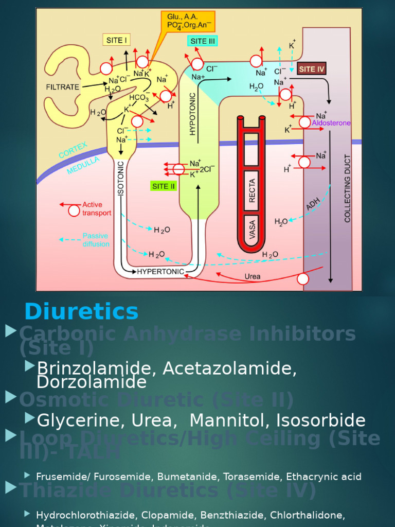 Diuretics and Antidiuretics | PDF