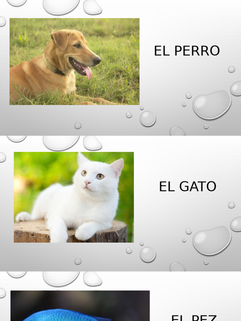 LOS ANIMALES _ INFANTIL | PDF