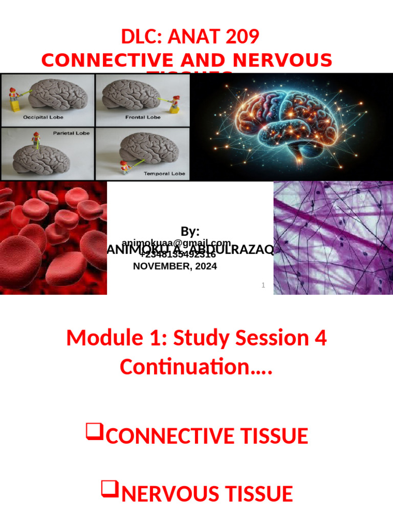 Anat 209 DLC Md1 Ss4 Connective and Nervous Tissues by Animoku Aa | PDF | Connective Tissue | Bone