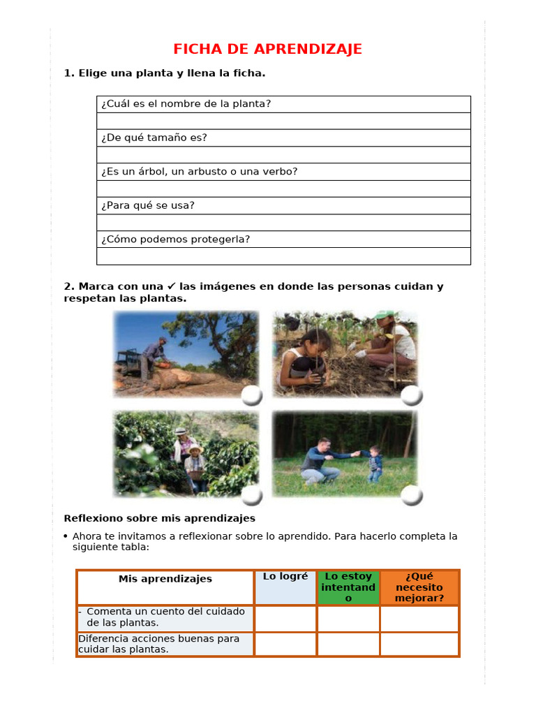 Tut 8° - Ficha 6 Diciembre | PDF