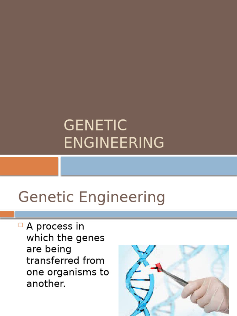 Genetic Engineering | PDF | Genetic Engineering | Genetics