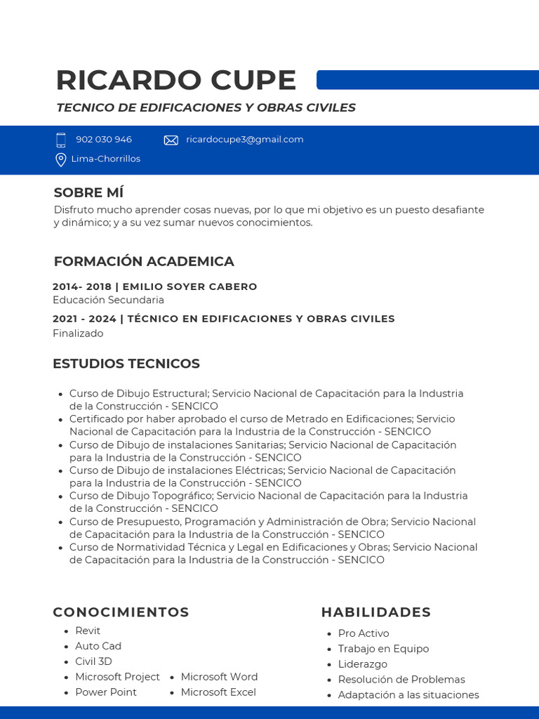 Copia de CV para Practicante | PDF