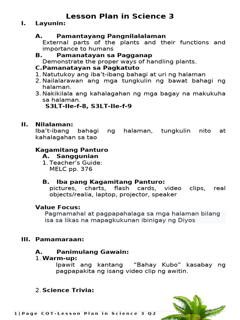 COT Lesson Plan in Science 3 - 1st | PDF