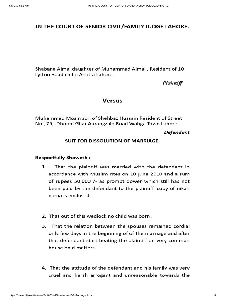 Marriage Dissolution Suit Details | PDF | Marriage | Lawsuit