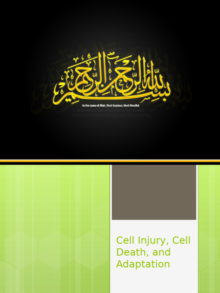 Cell injury, cell death, and adaptations | PDF | Apoptosis | Necrosis