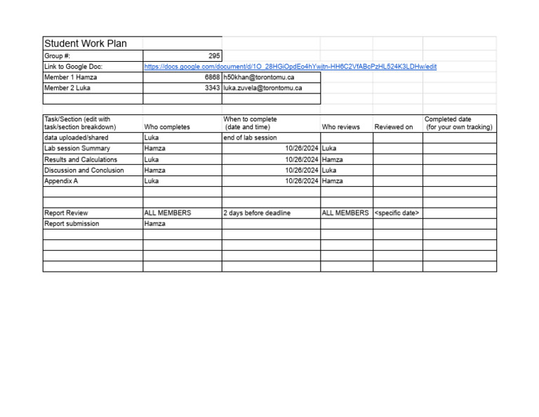 Student Work Plan Template-Hamza Khan - Sheet1 | PDF