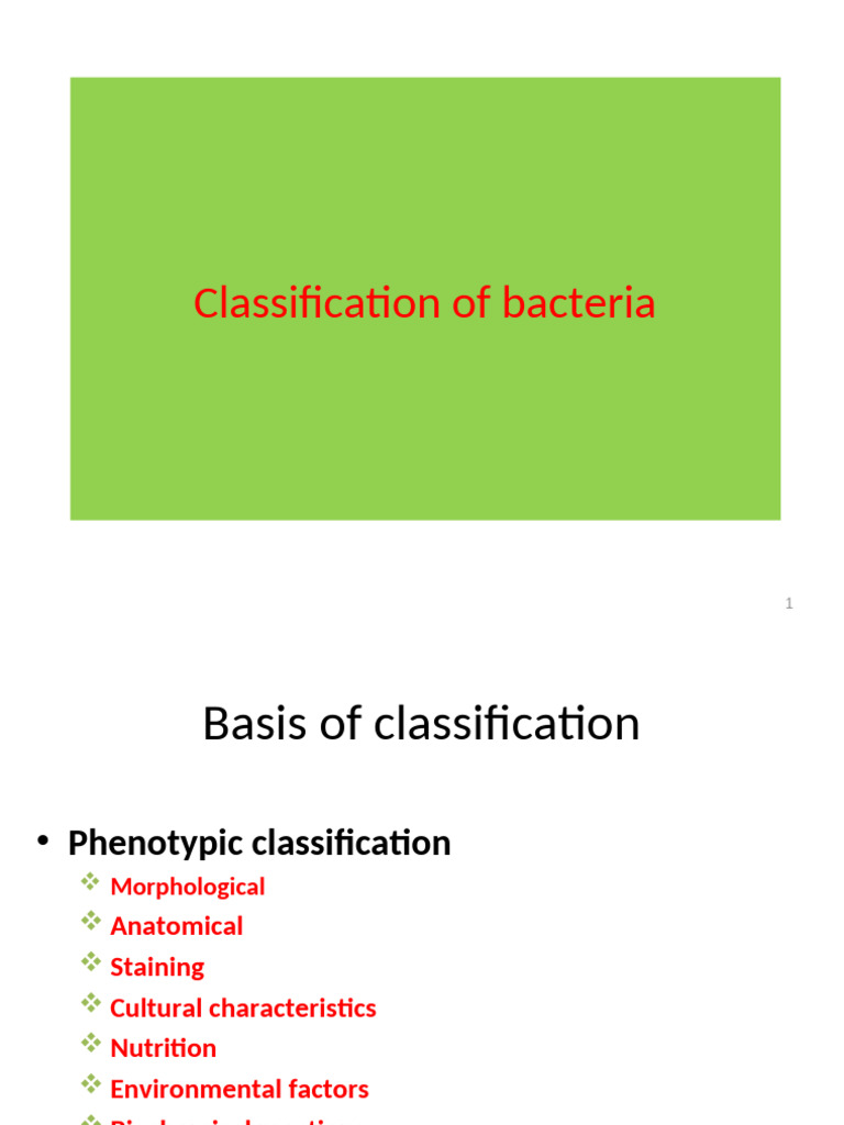Classification of Bacteria | PDF | Bacteria | Streptococcus