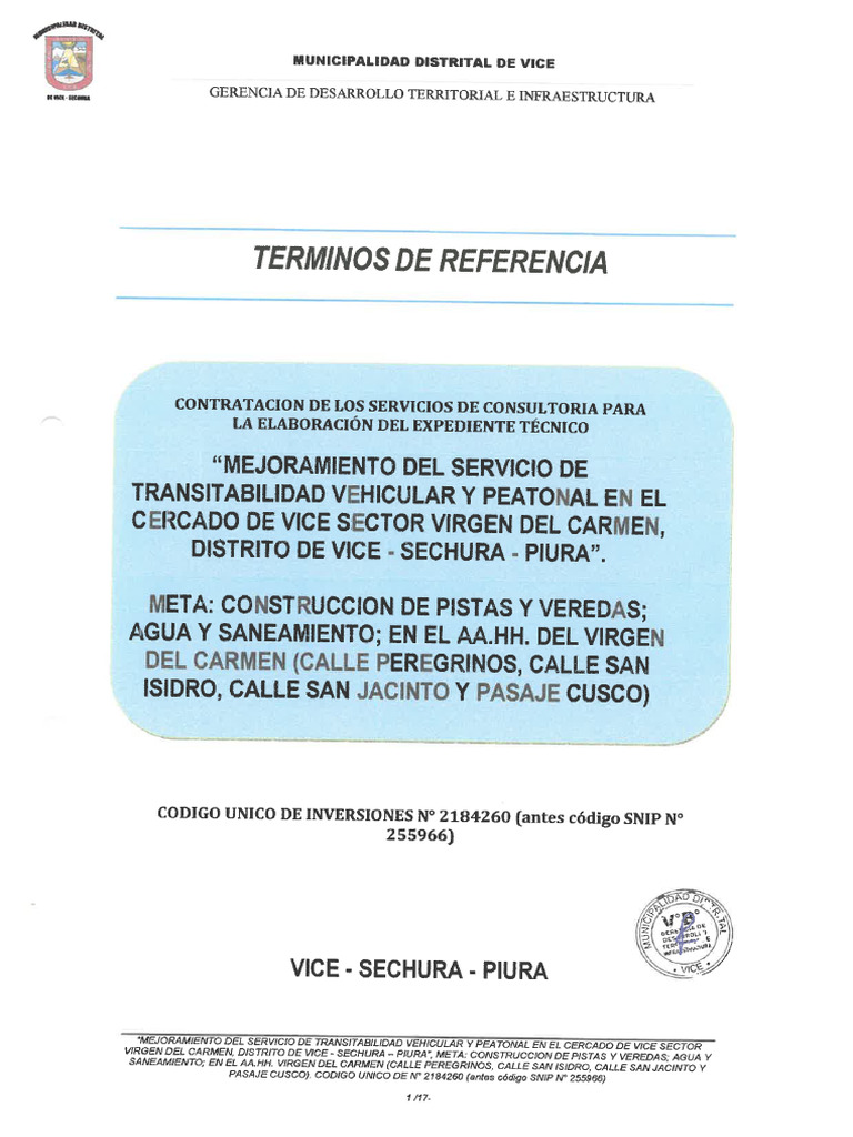 MODELO TDR EXPEDIENTE | PDF