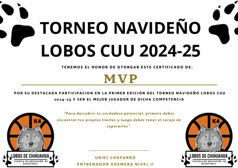 MVP PDF | PDF