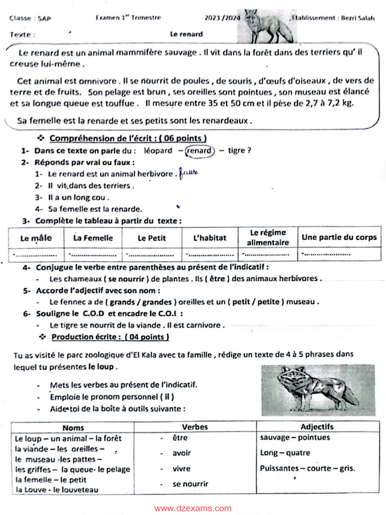 DzExams: Algerian School Exams | PDF