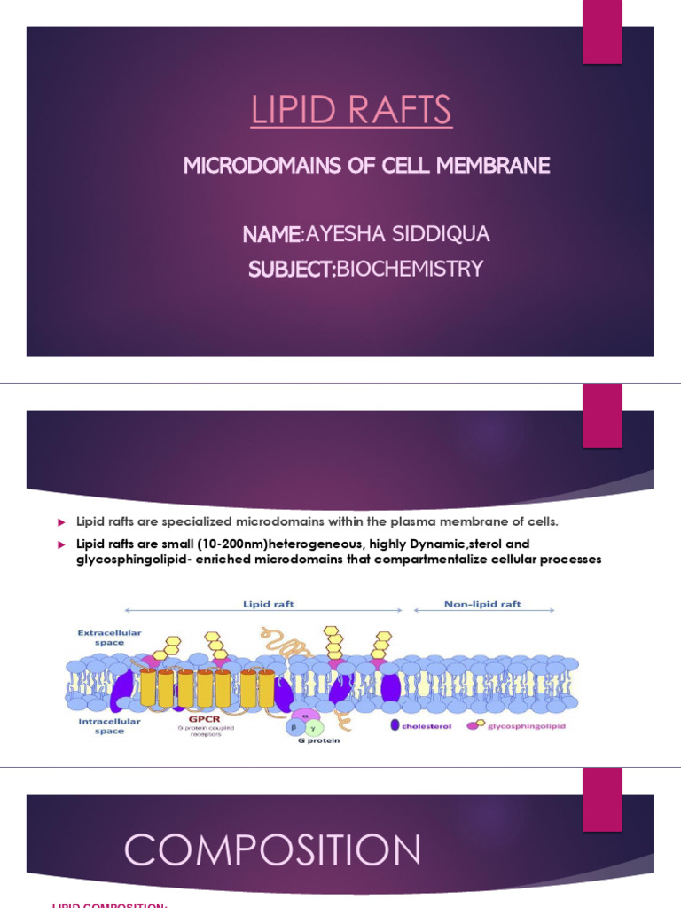 Lipids rafts presentation | PDF | Cell Membrane | Cell Signaling