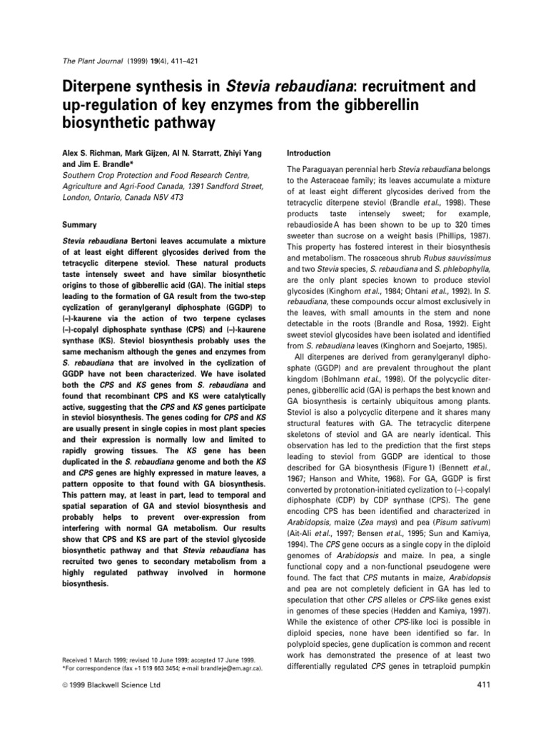The Plant Journal - 2002 - Richman - Diterpene synthesis in Stevia ...