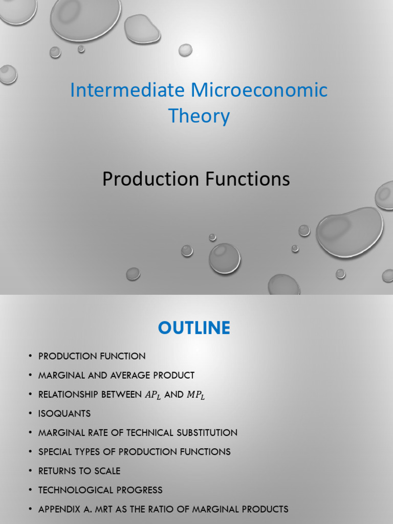 Production Functions | PDF | Production Function | Labour Economics
