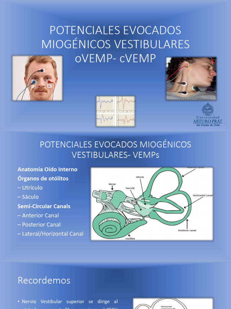 Evaluación de VEMPs: cVEMP y oVEMP | PDF | Nervio | Electromiografia