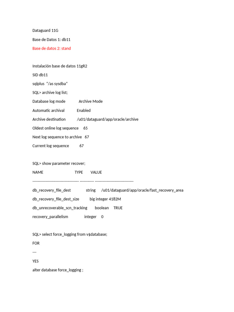 Dataguard 11g Pdf Boolean Data Type Parameter Computer Programming