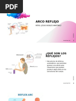 Esquema del Arco Reflejo | PDF