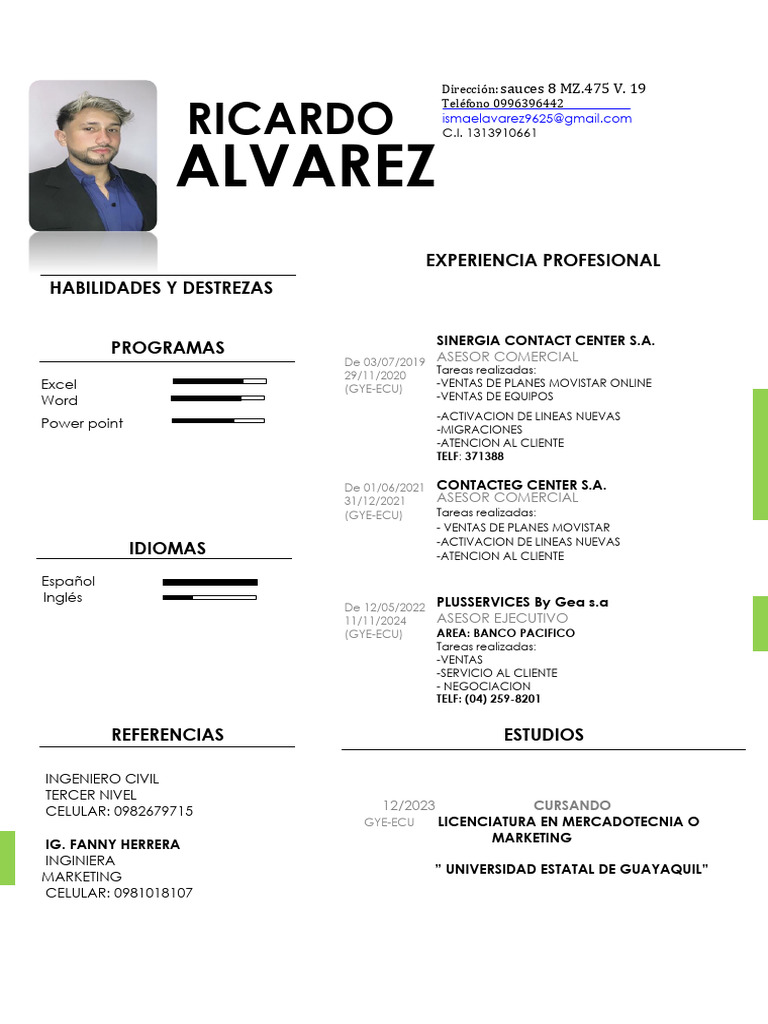 Ricardo Alvarez Curriculum... | PDF