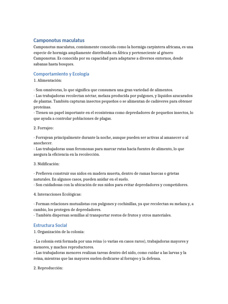 Camponotus Maculatus | PDF | Hormiga