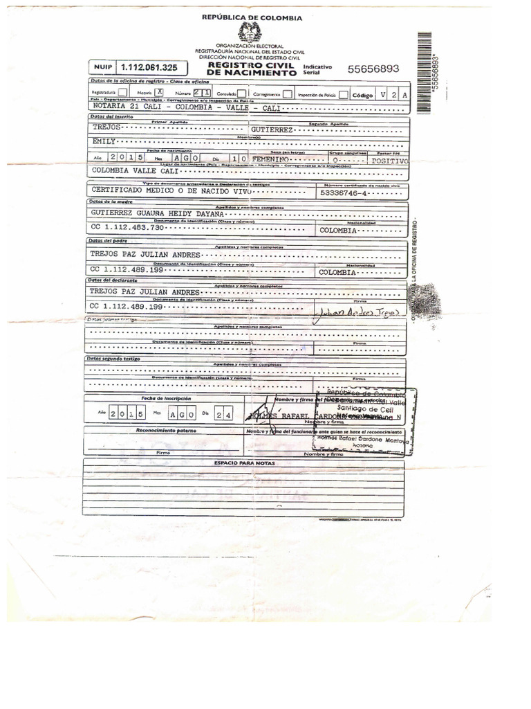 Papeles Scaner | PDF